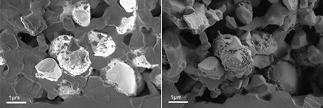 SEM - Section for Imaging and Structural Analysis